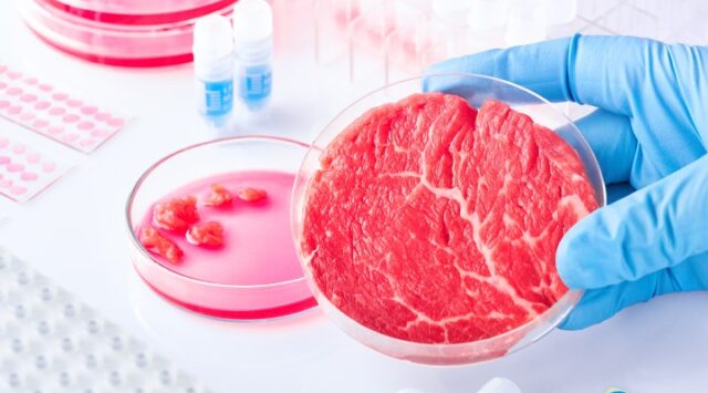 Beyond beef: How cell-based meat could bring unlimited protein options ...