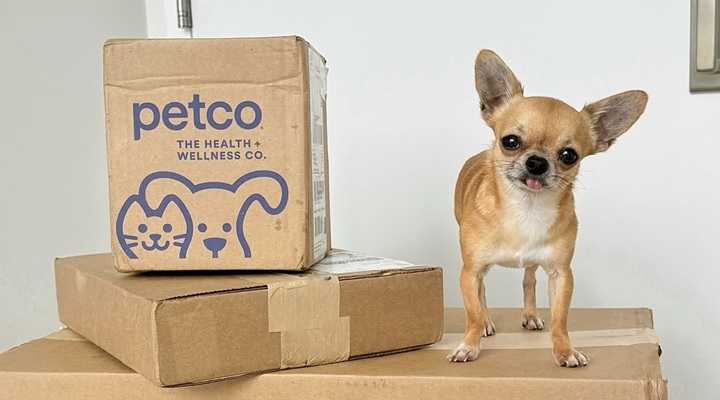 Petco results: Sales down, but margin, profit up - Inside Retail US